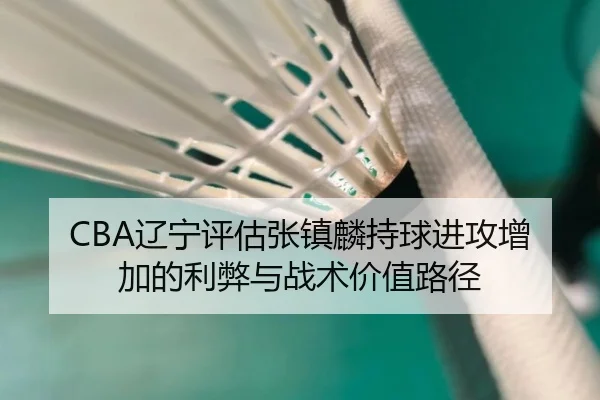 CBA辽宁评估张镇麟持球进攻增加的利弊与战术价值路径 - 问鼎PG